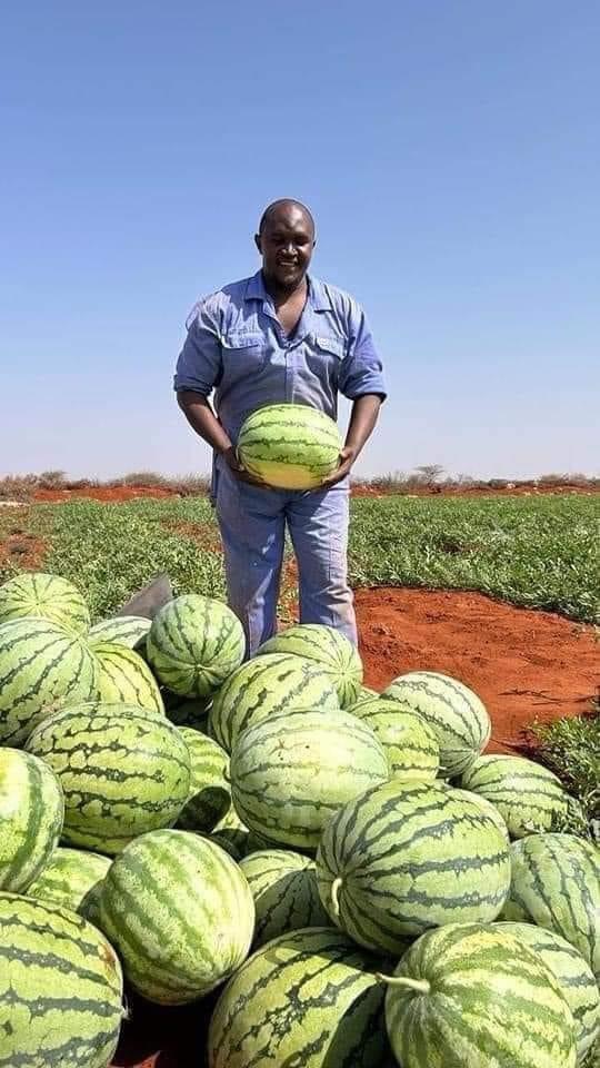 Mudug: Dhakhtar Kenya u dhashay oo arrin cajiib ah ka sameeyey ...