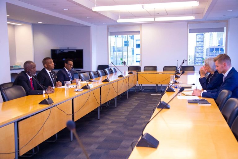 Xamza oo Midowga Yurub kala hadlay xiisadda Geeska Afrika | Caasimada ...