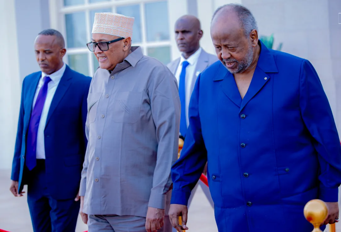 Madaxweyne Geelle oo si xun u bahdilay Cirro kadib aqoonsiga Israel